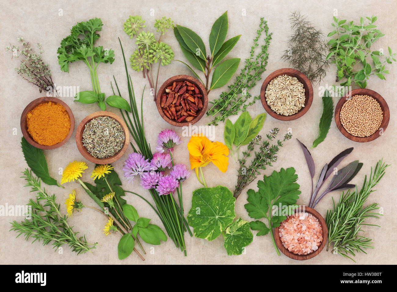 Fresh and dried herb selection on hemp paper background Stock Photo - Alamy