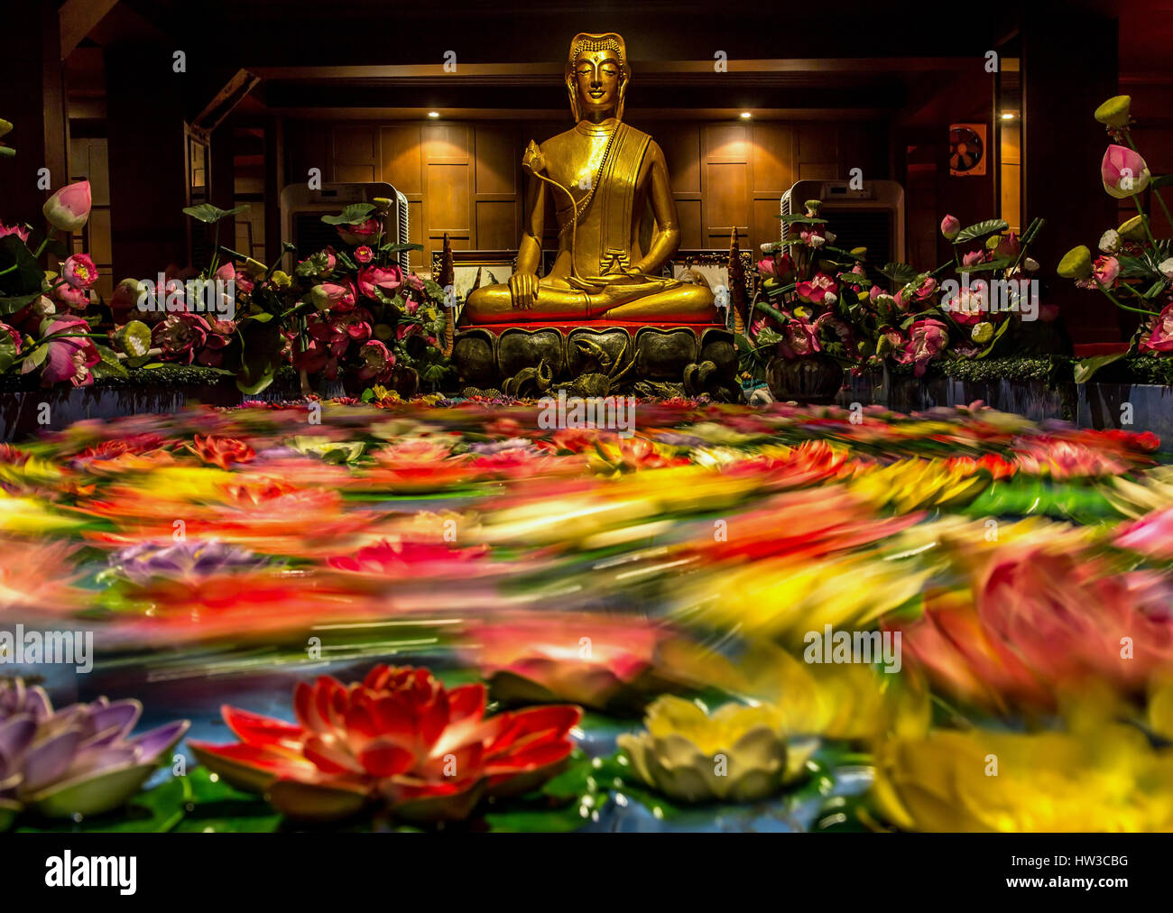 Colorful flowers floating under the golden statue of Buddha in Buddhist ...