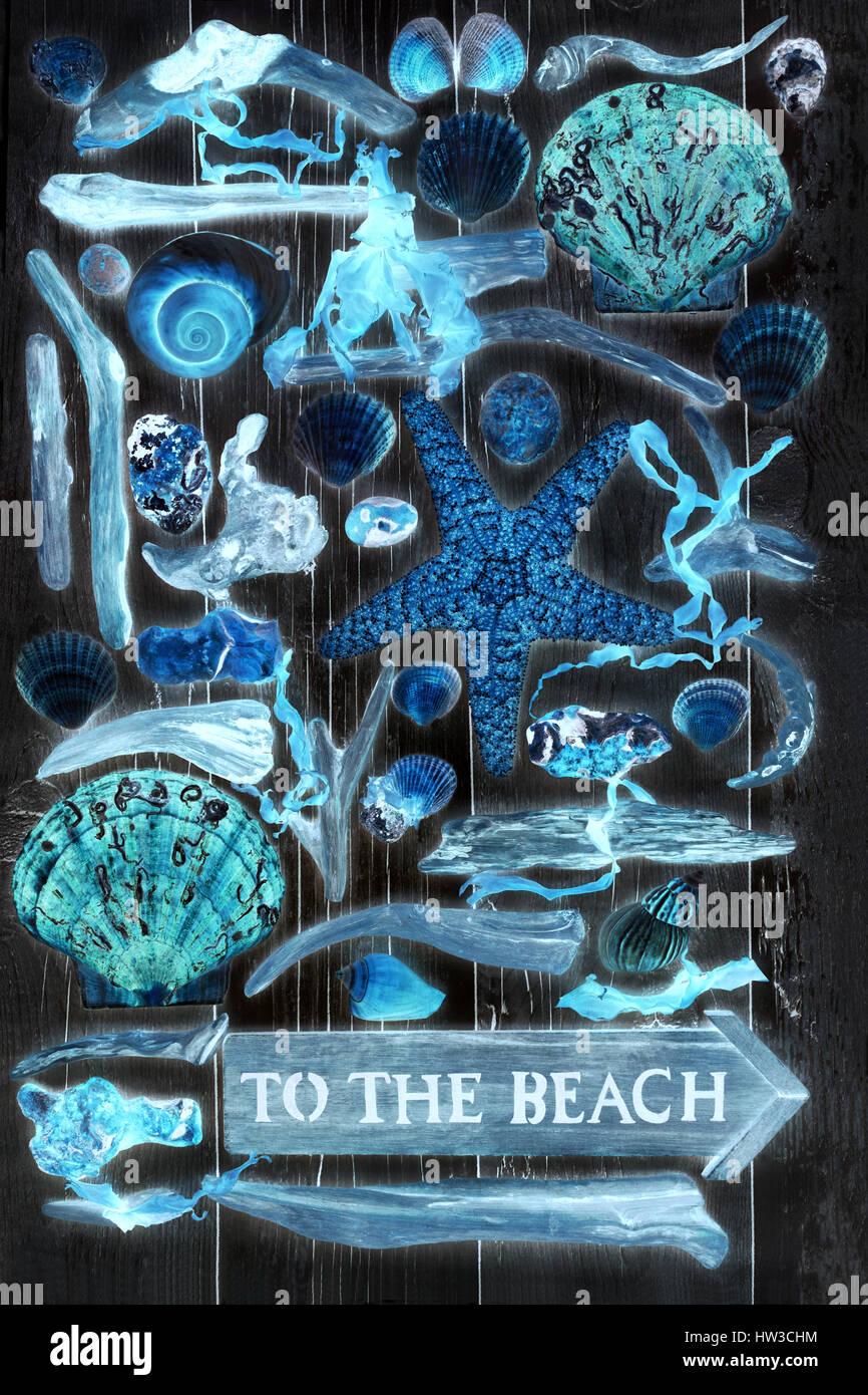 Beach abstract art with selection of seashells, driftwood, seaweed and ...