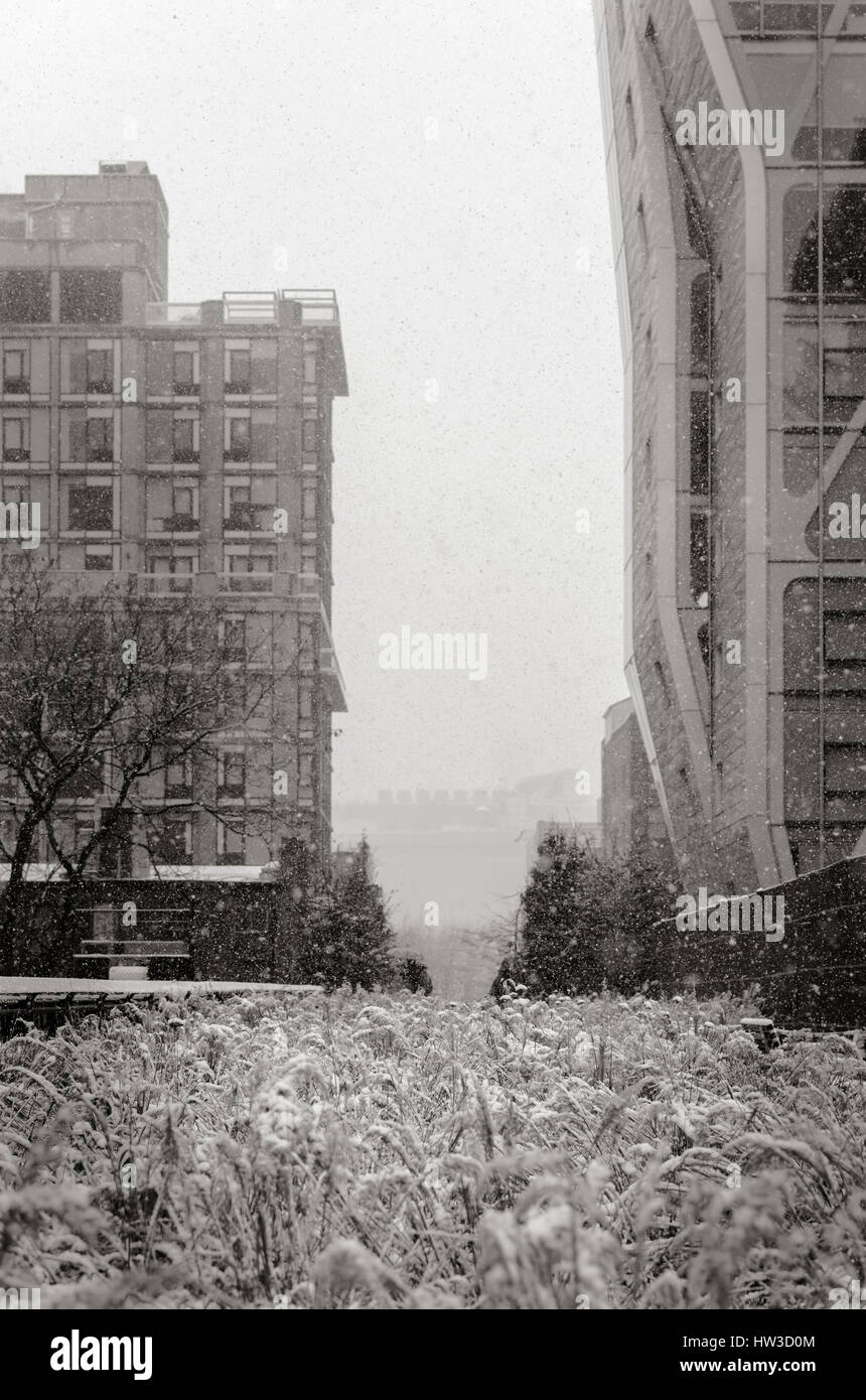 Snowstorm Nyc Pictures at Anthony Barajas blog