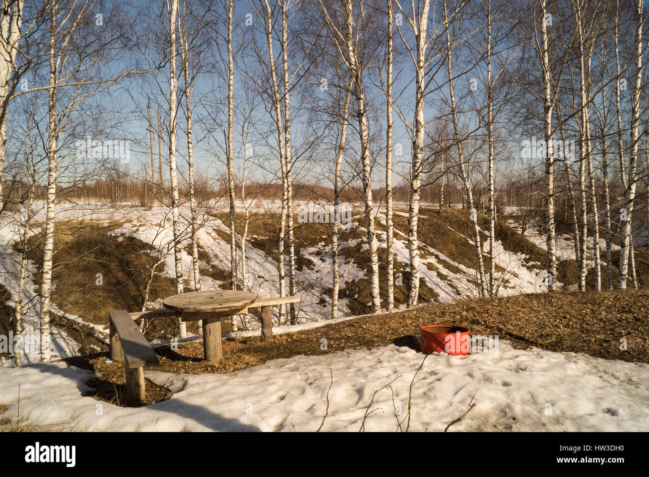 Spring landscape with birch in rural terrain on background blue sky ...