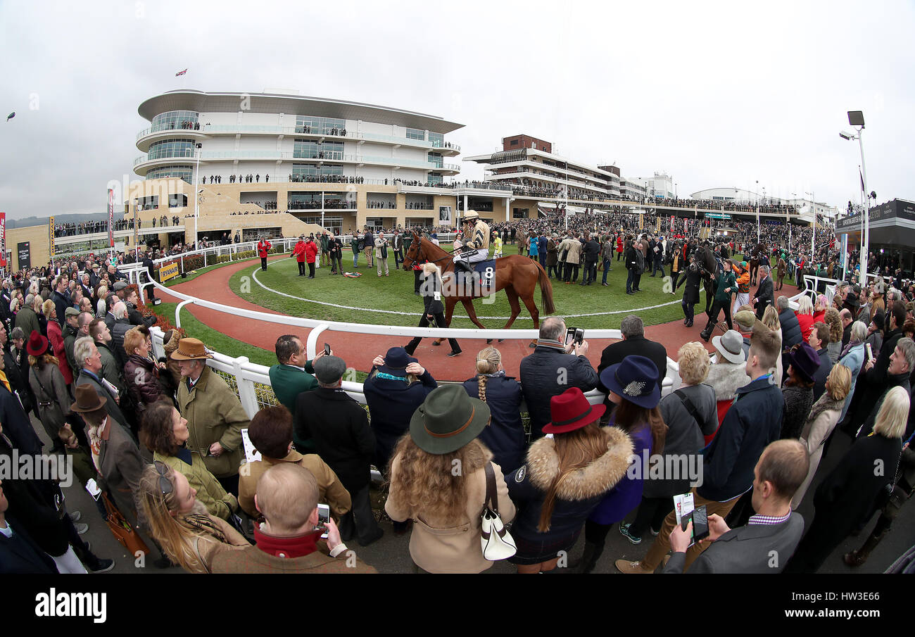 Jockey Ruby Walsh on Yorkhill in the parade ring during St Patrick's ...