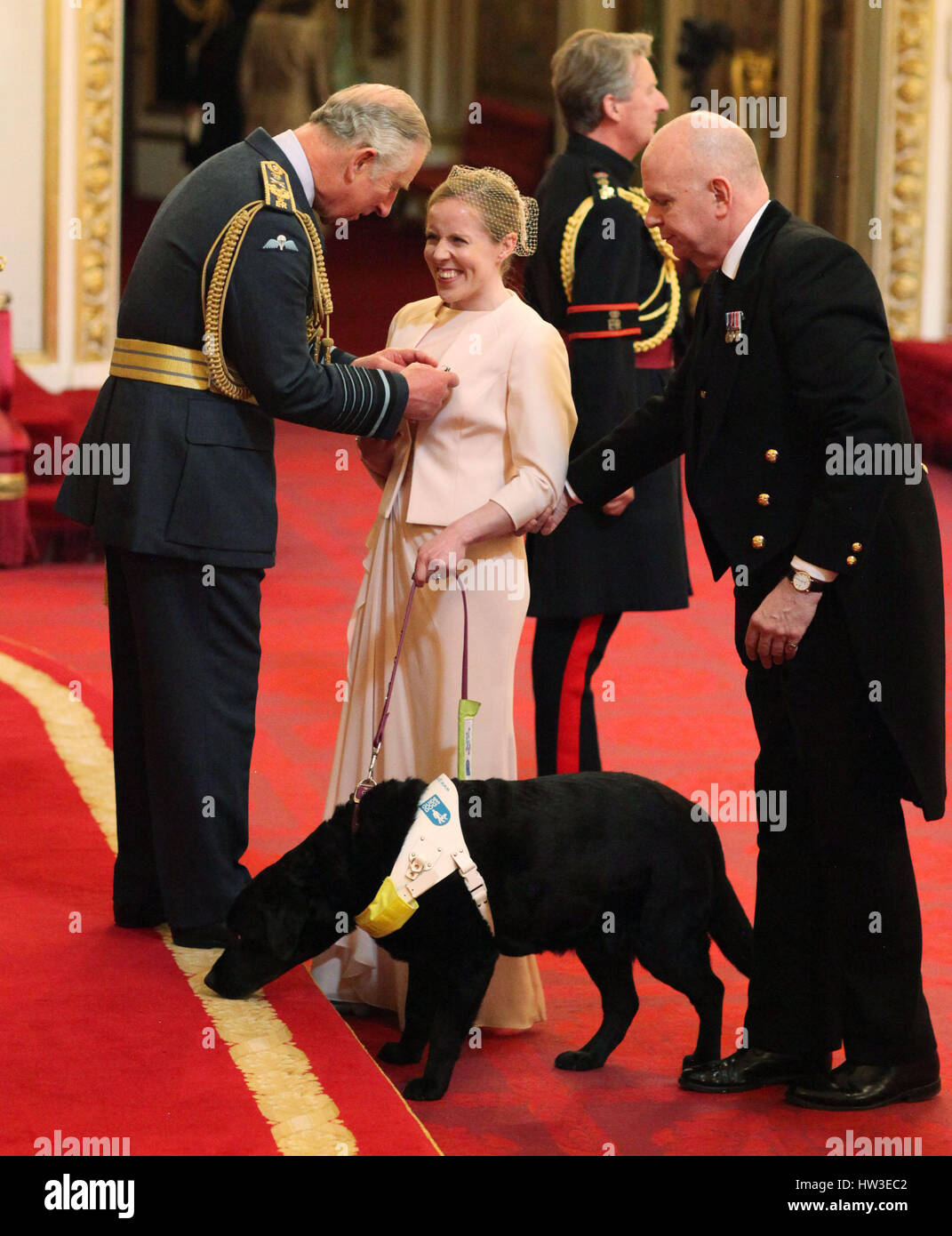 Paralympic cyclist lora fachie hi-res stock photography and images - Alamy