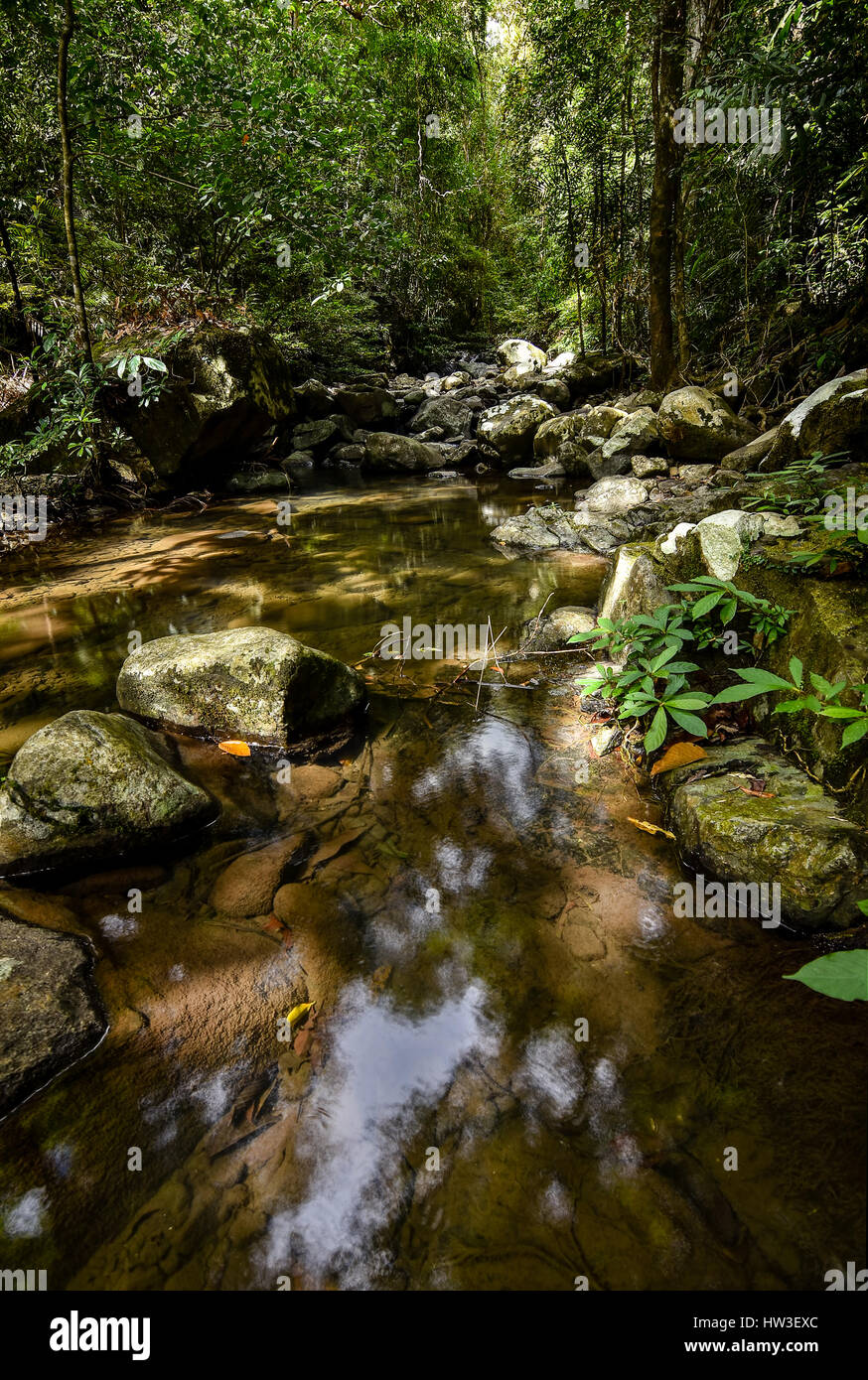 Jungle course hi-res stock photography and images - Alamy