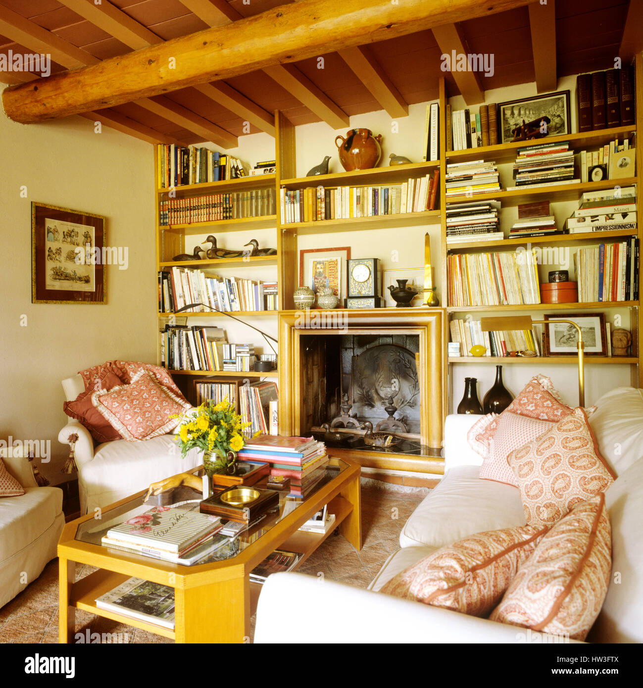 Bookshelves lounge hi-res stock photography and images - Alamy
