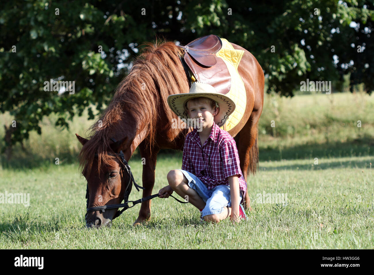 Child kid boy pony horse hi-res stock photography and images - Alamy