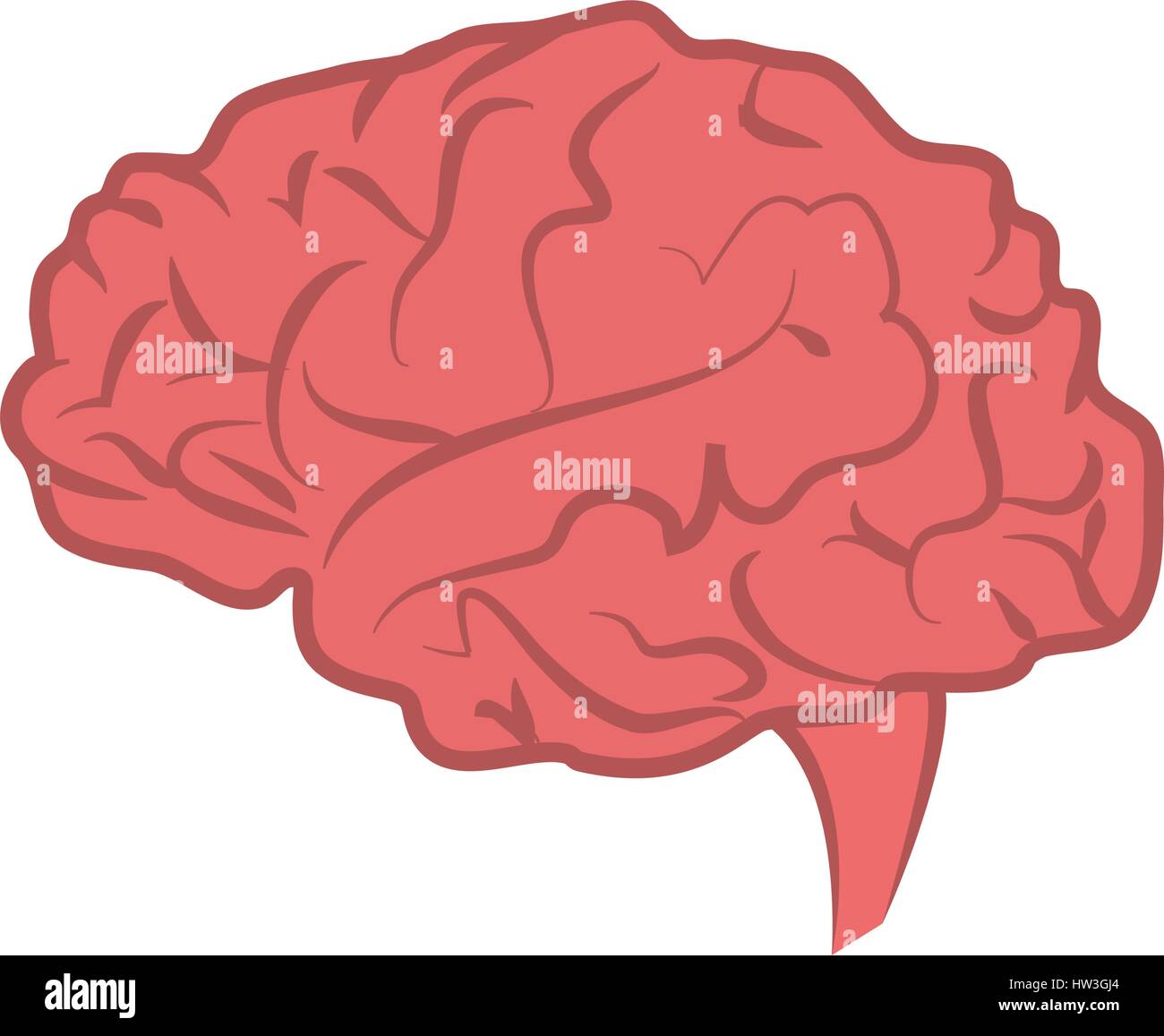 human brain icon Stock Vector Image & Art - Alamy