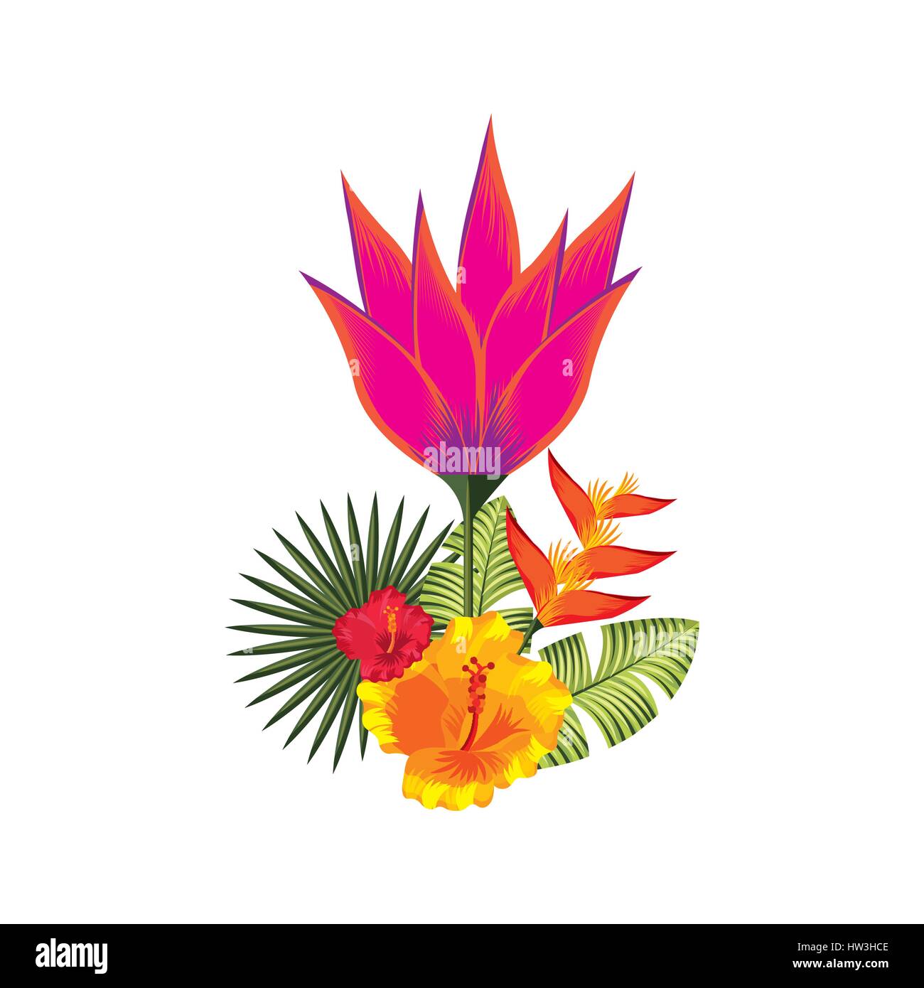 tropical flowers design Stock Vector Image & Art - Alamy