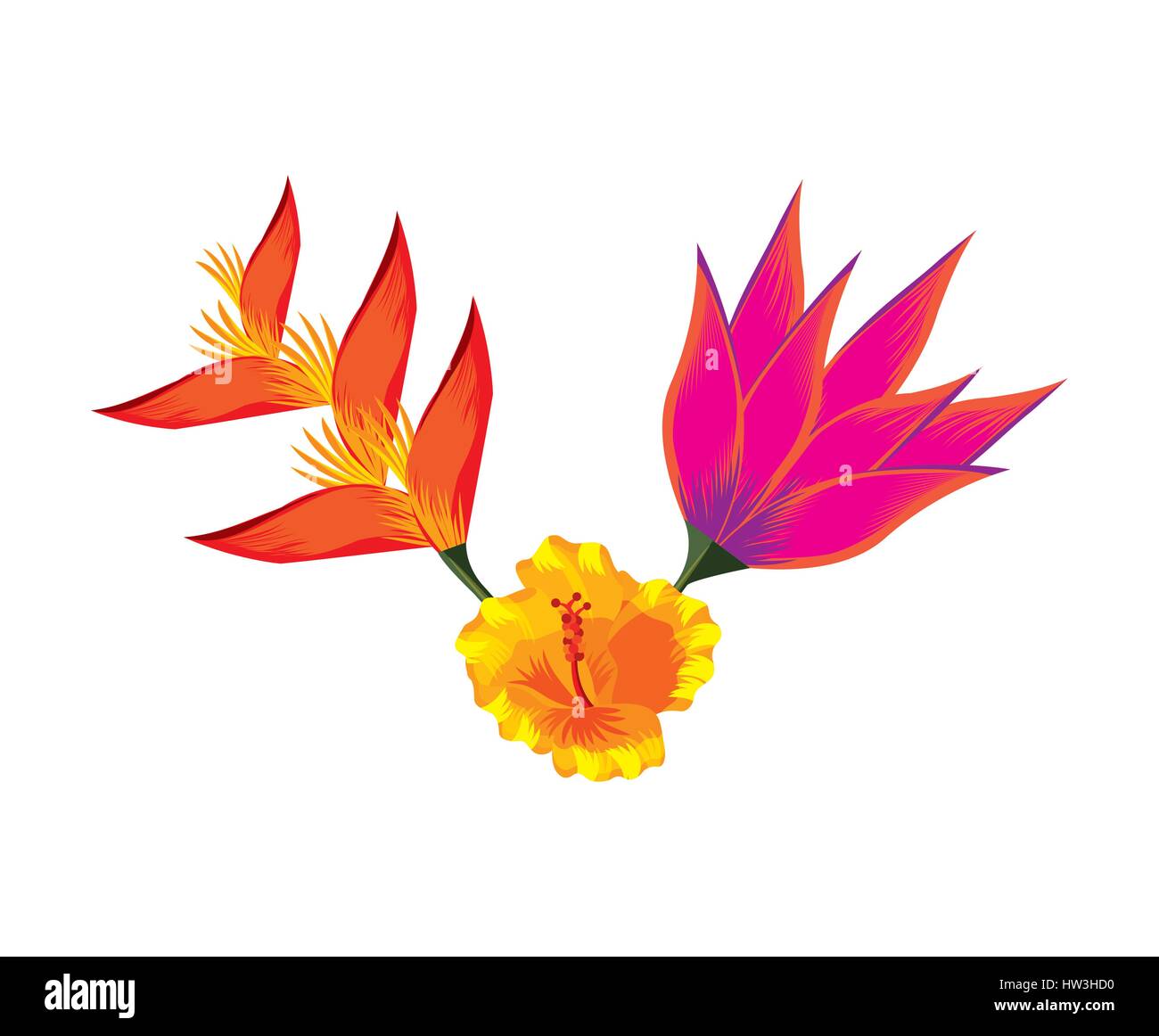 tropical flowers design Stock Vector Image & Art - Alamy