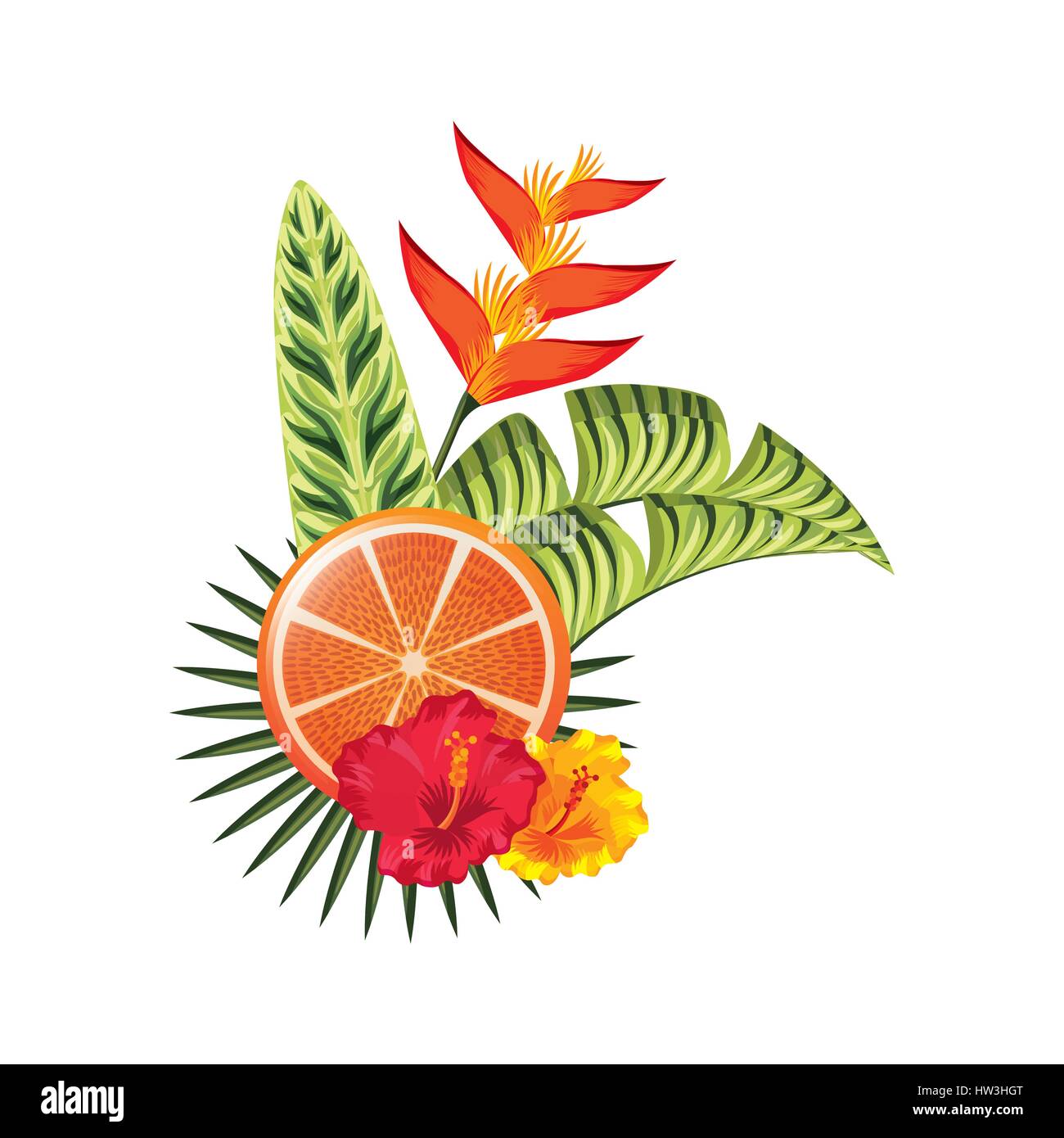 tropical flowers design Stock Vector Image & Art - Alamy