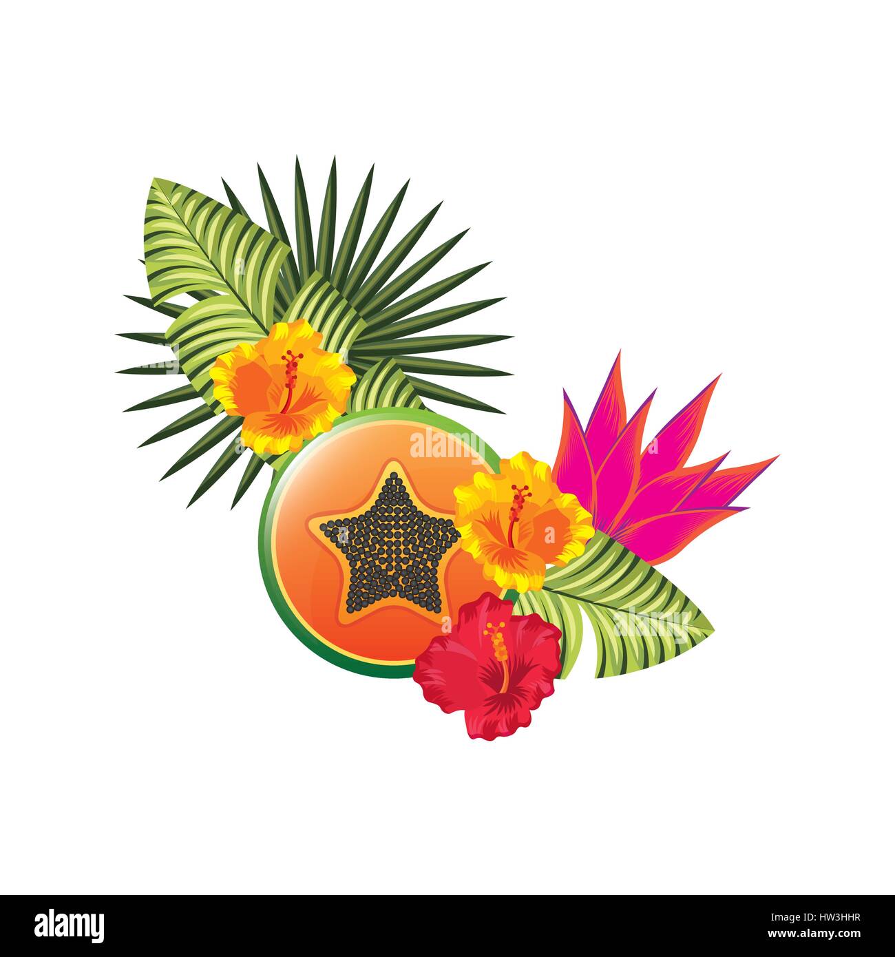 tropical flowers design Stock Vector Image & Art - Alamy