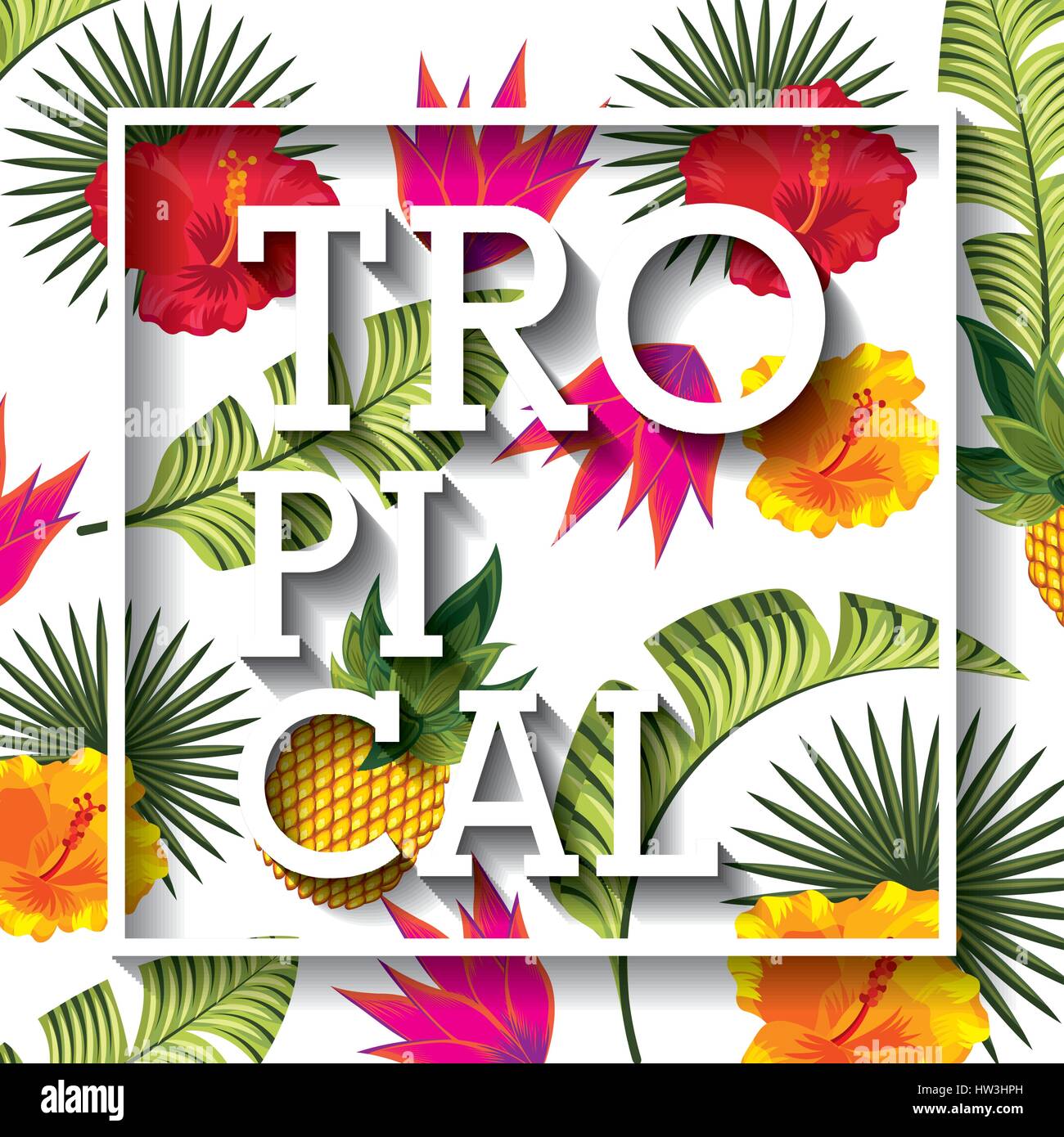 tropical flowers design Stock Vector Image & Art - Alamy