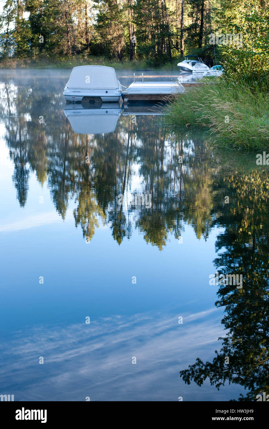 Mirror like reflection of trees on the water Stock Photo - Alamy