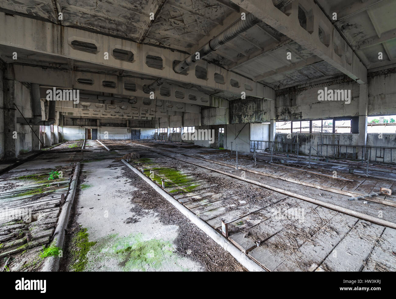 Inside the farm building of old kolkhoz in abandoned Mashevo village of ...