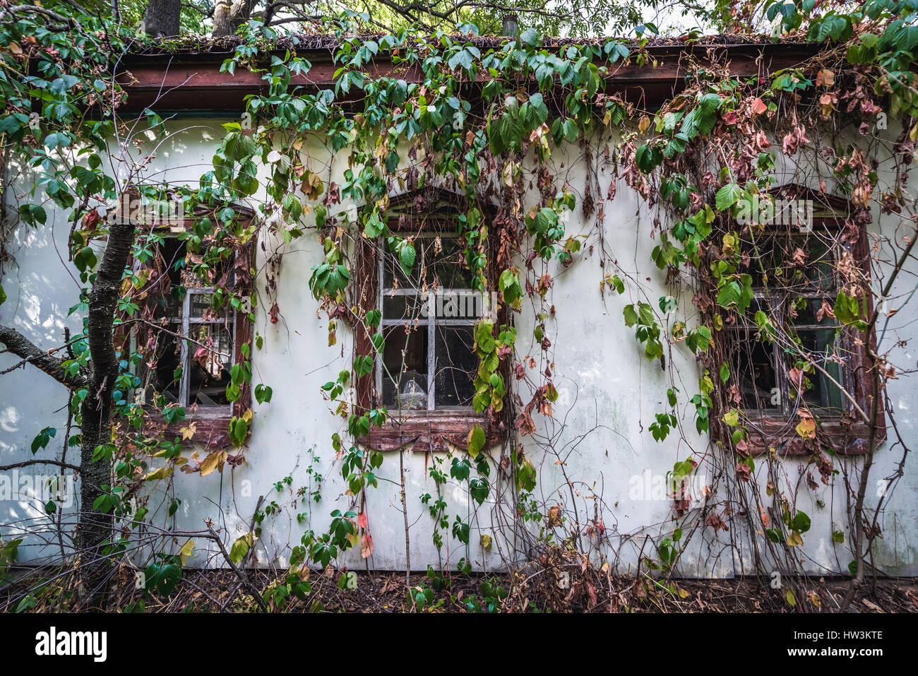 Overgrown cottage in Krasne, one of abandoned villages of Chernobyl ...