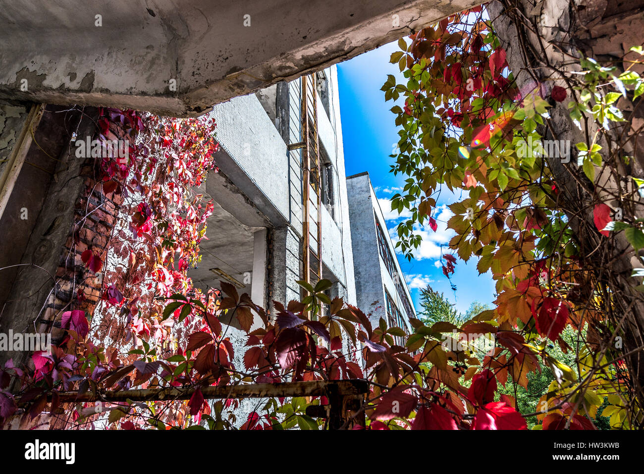 Overgrown staircase of abandoned Jupiter Factory in Pripyat ghost town ...