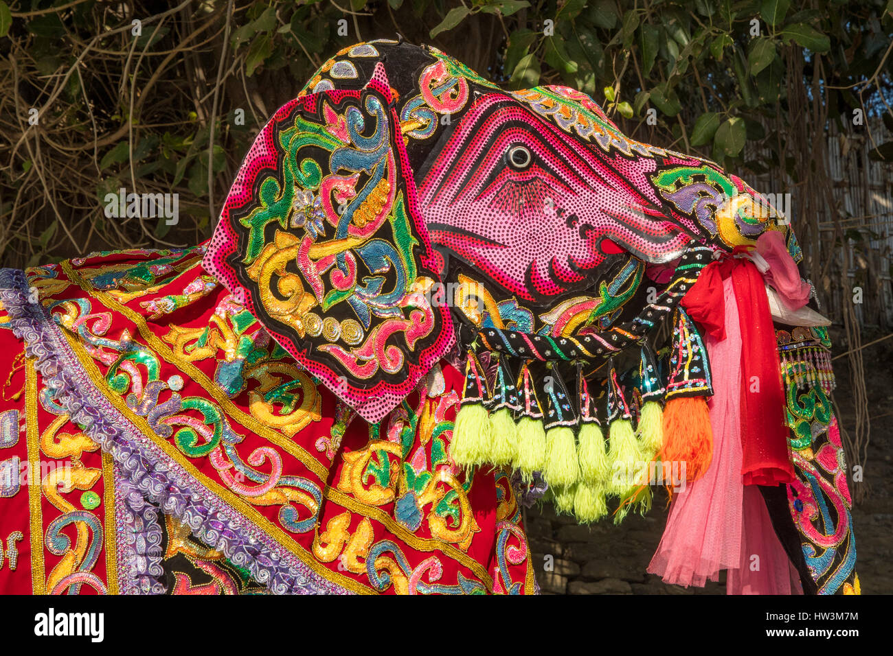 Elephant costume hi-res stock photography and images - Alamy