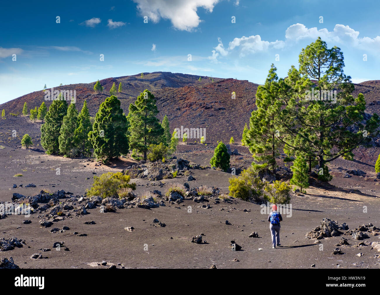 Woman on trail, Montaña Negra Volcano or Garachico, lava lanscape near ...