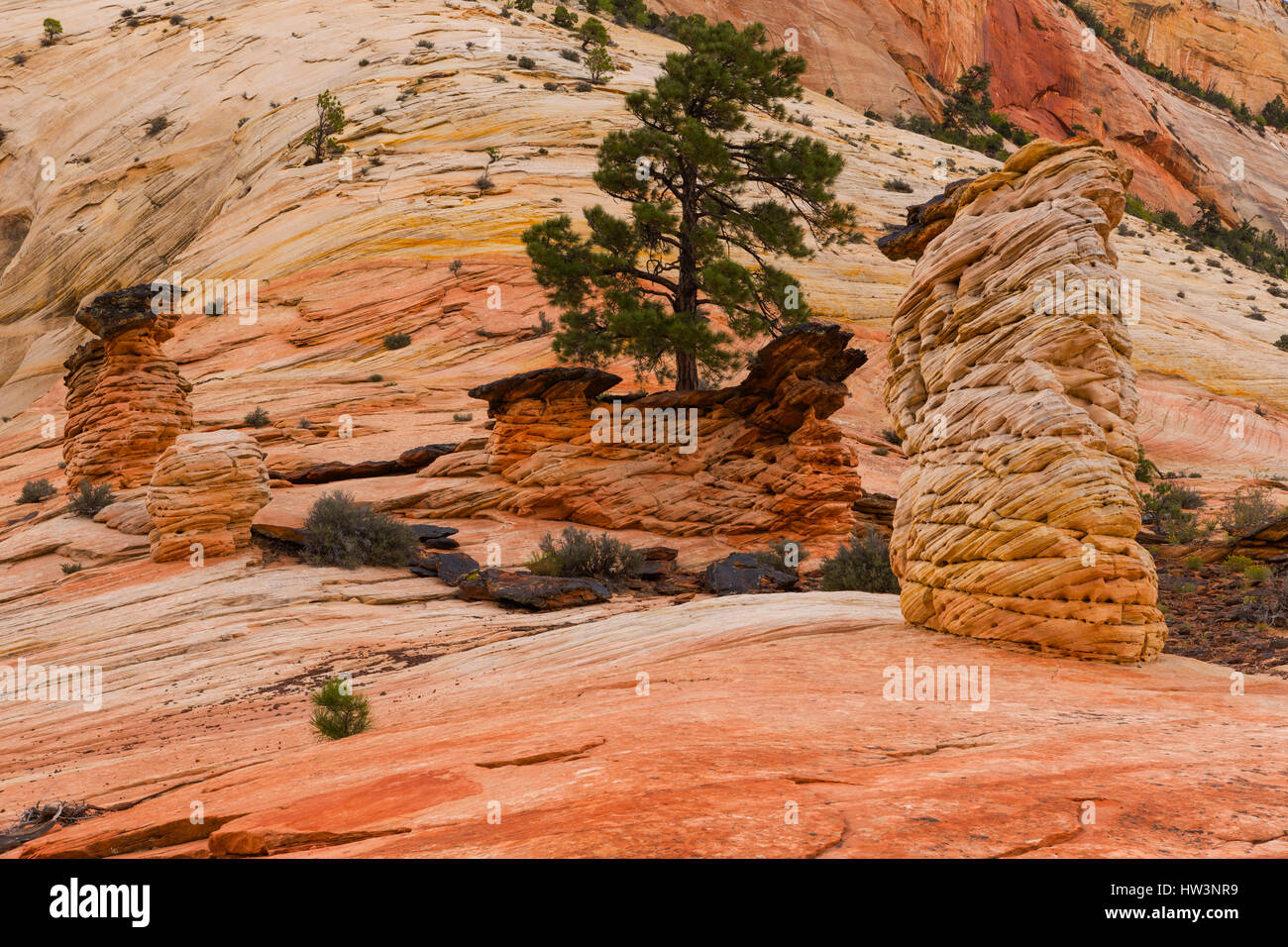 Rock formations, Zion National Park, UT, USA Stock Photo - Alamy