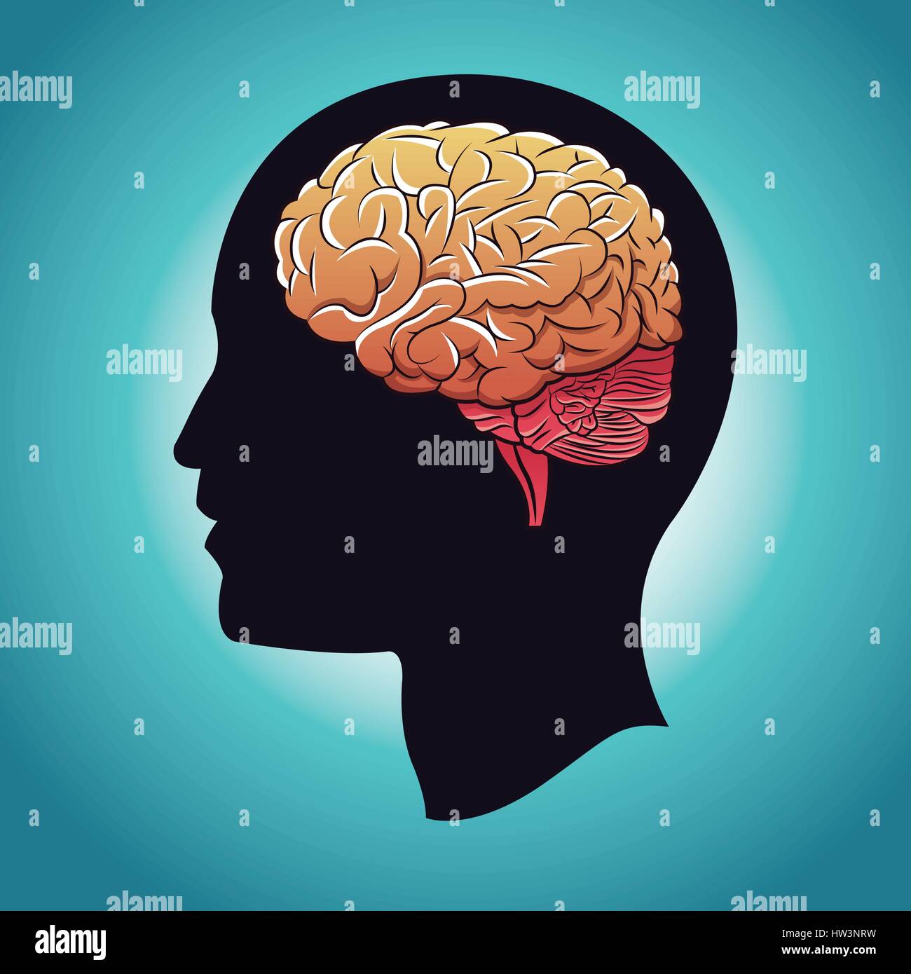 profile head brain human Stock Vector Image & Art - Alamy