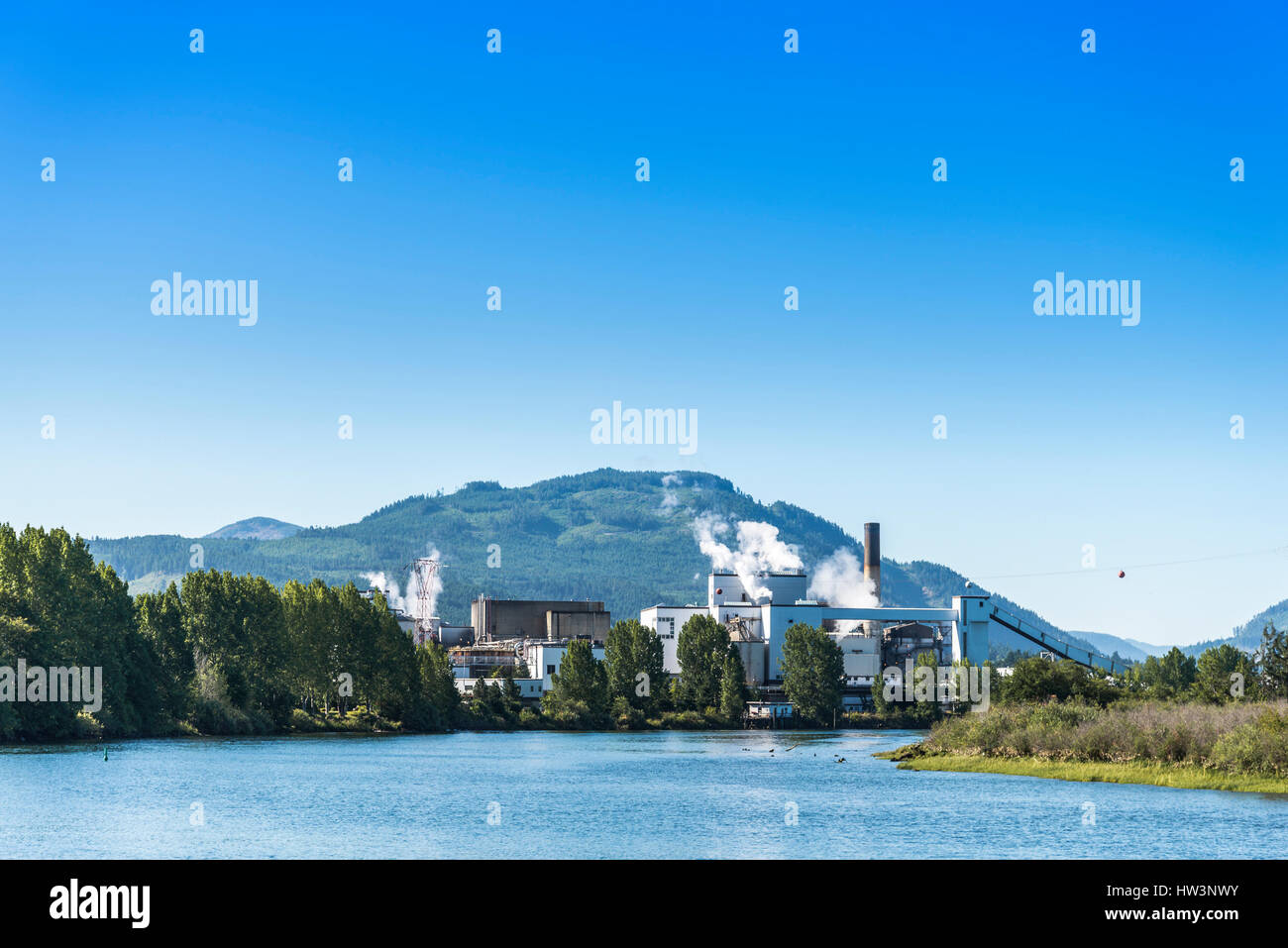 Pulp Mill, Port Alberni, Vancouver Island, British Columbia, Canada ...