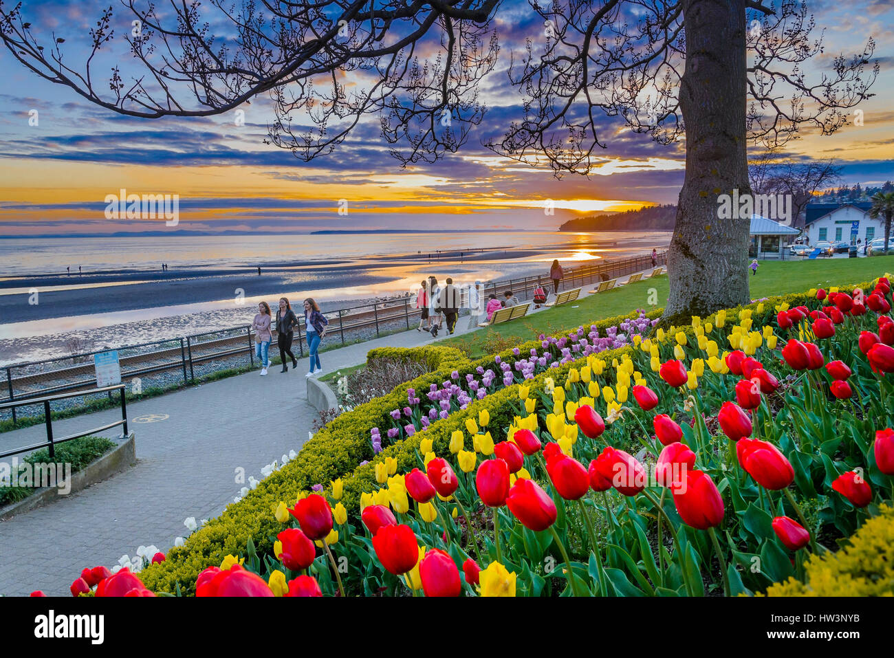 Colourful spring hi-res stock photography and images - Alamy