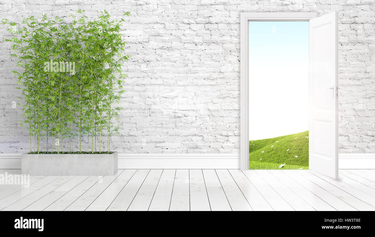 Modern bright interior with open door . 3D rendering Stock Photo - Alamy
