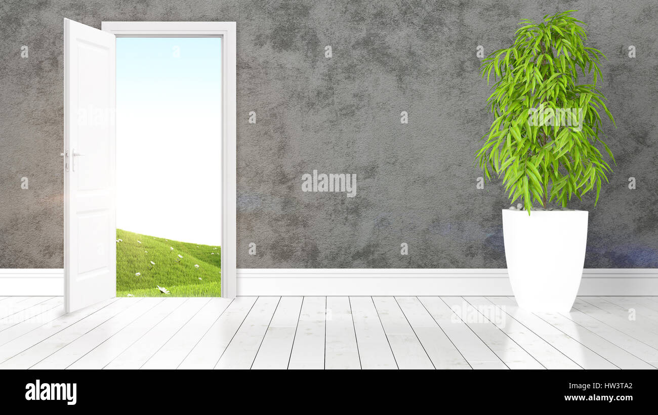 Modern bright interior with open door . 3D rendering Stock Photo - Alamy