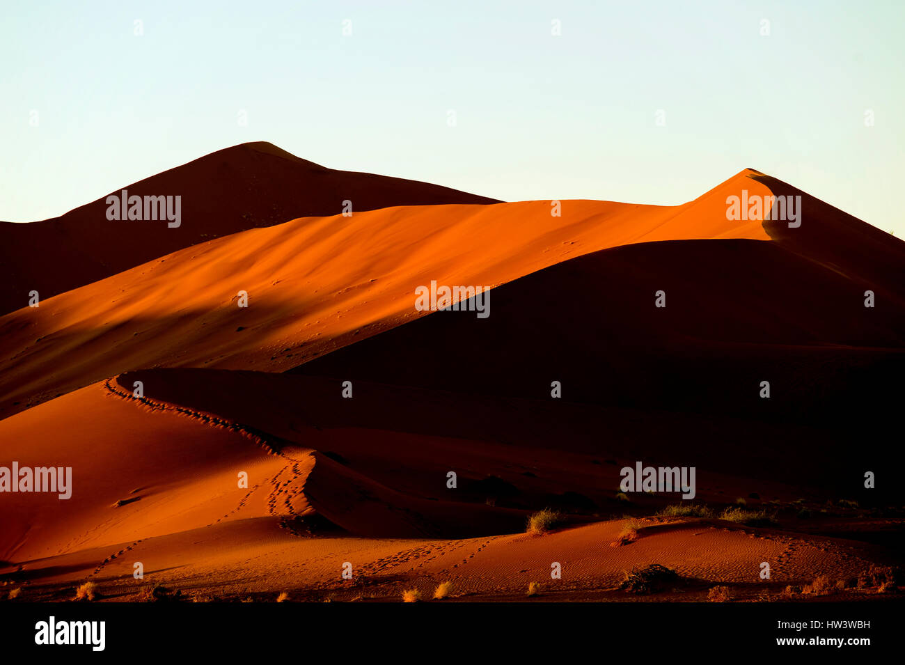 Red dunes at Sossusvlei, Namib Naukluft National Park, Namibia Stock ...