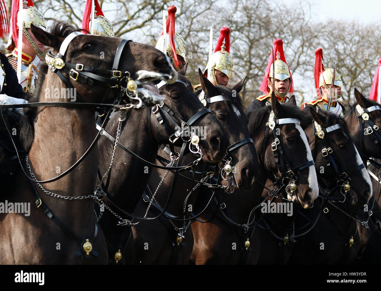 The major generals review hi-res stock photography and images - Alamy