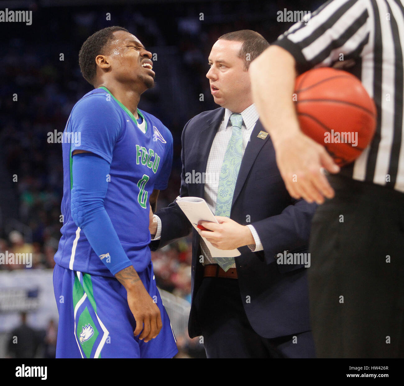 Florida gulf coast eagles hi-res stock photography and images - Alamy