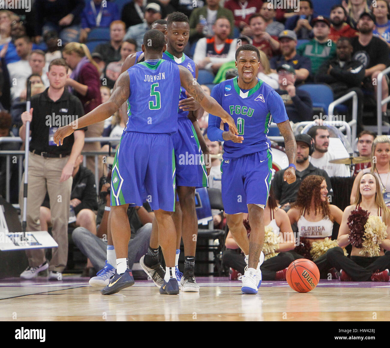 Florida gulf coast eagles hi-res stock photography and images - Alamy