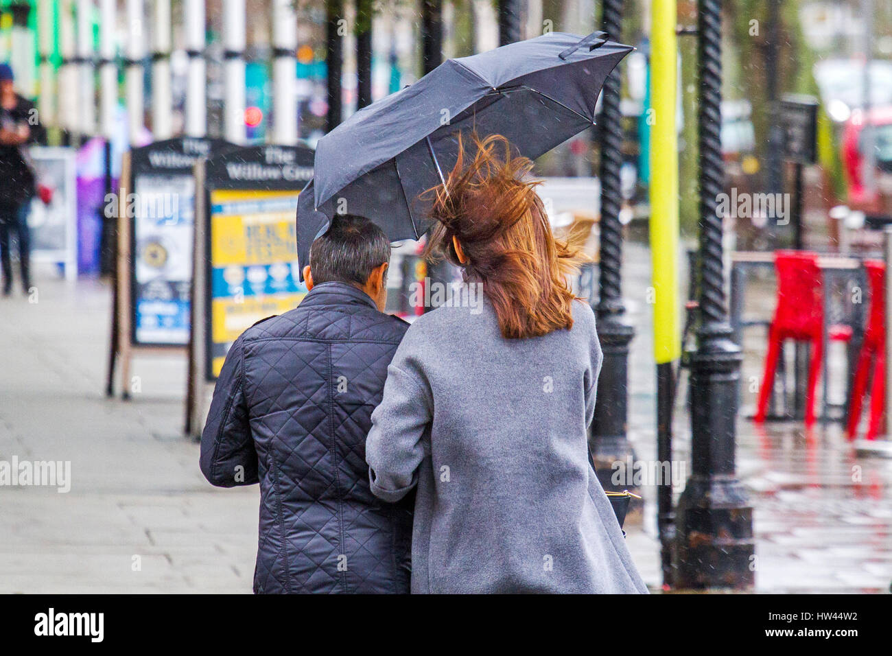 wind,hair,windswept,bad hair day,wind blown hair,long hair,female,face ...