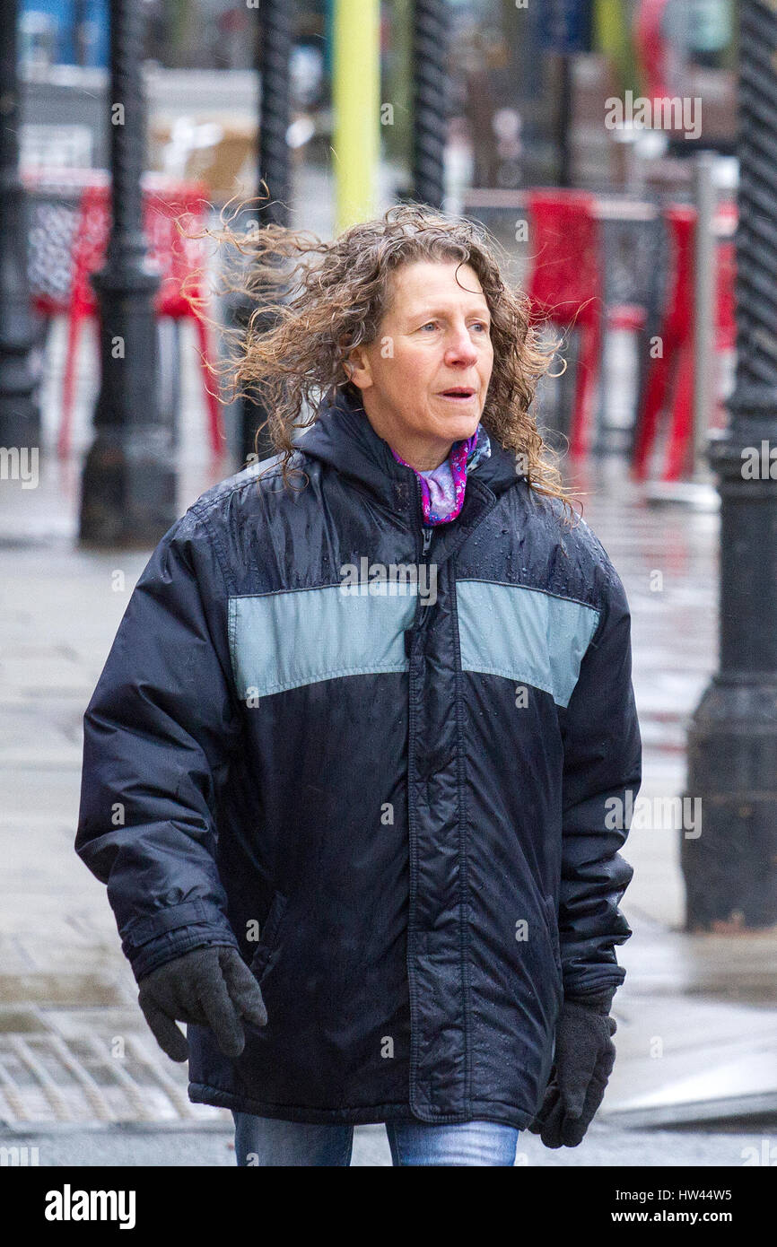 wind,hair,windswept,bad hair day,wind blown hair,long hair,female,face ...