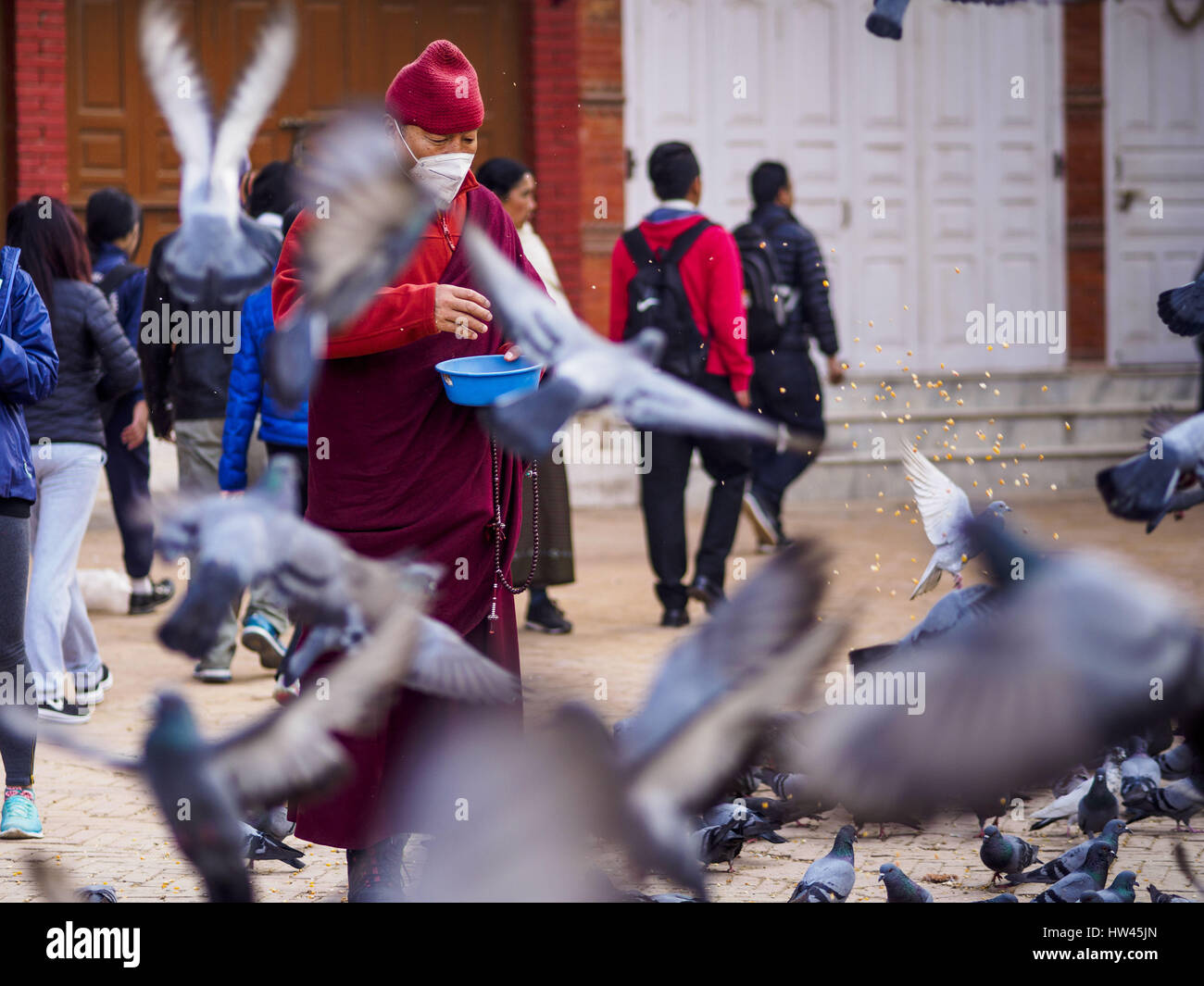 Buddhist monk and pigeons hi-res stock photography and images - Alamy