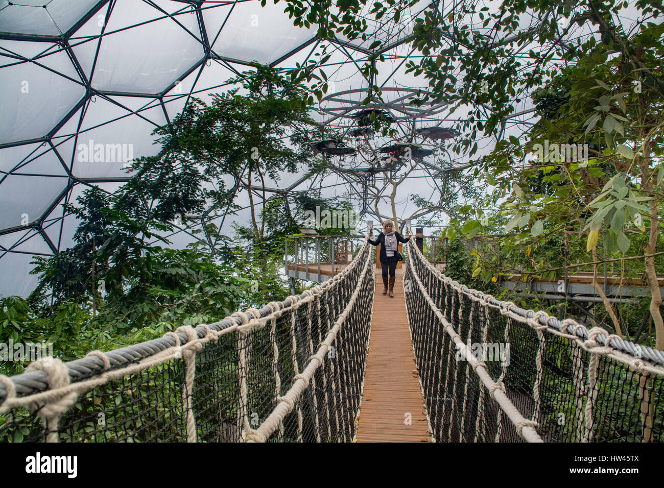 Eden project walkway hi-res stock photography and images - Alamy