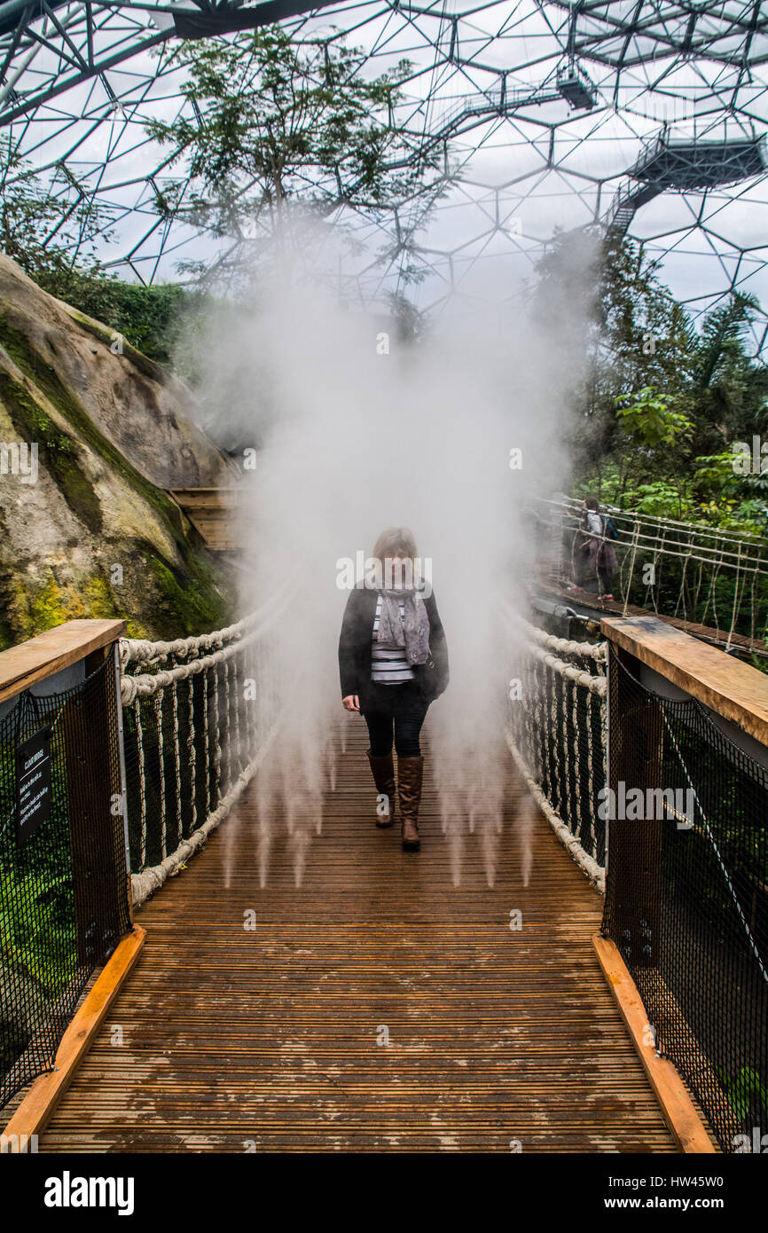 Rainforest canopy walkway eden hi-res stock photography and images - Alamy