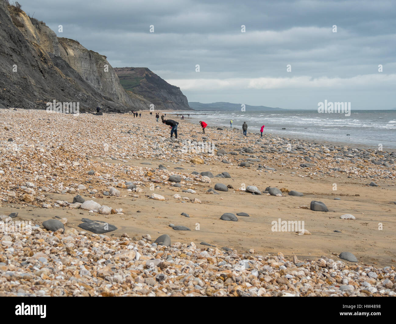 Charmouth beach, Charmouth, Dorset, UK. 17th March 2017. Fossil hunters ...