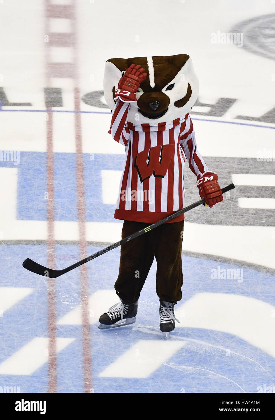 Bucky Badger Hockey