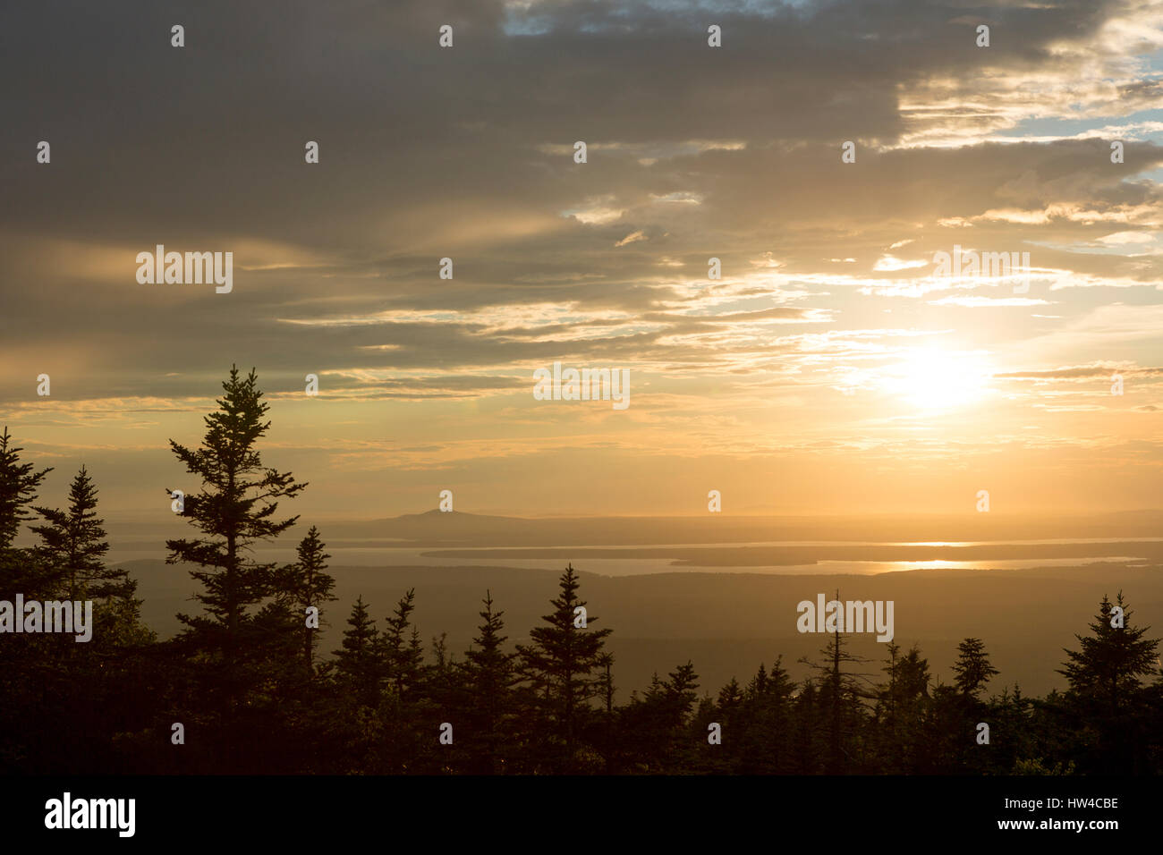 Over treetops hi-res stock photography and images - Alamy