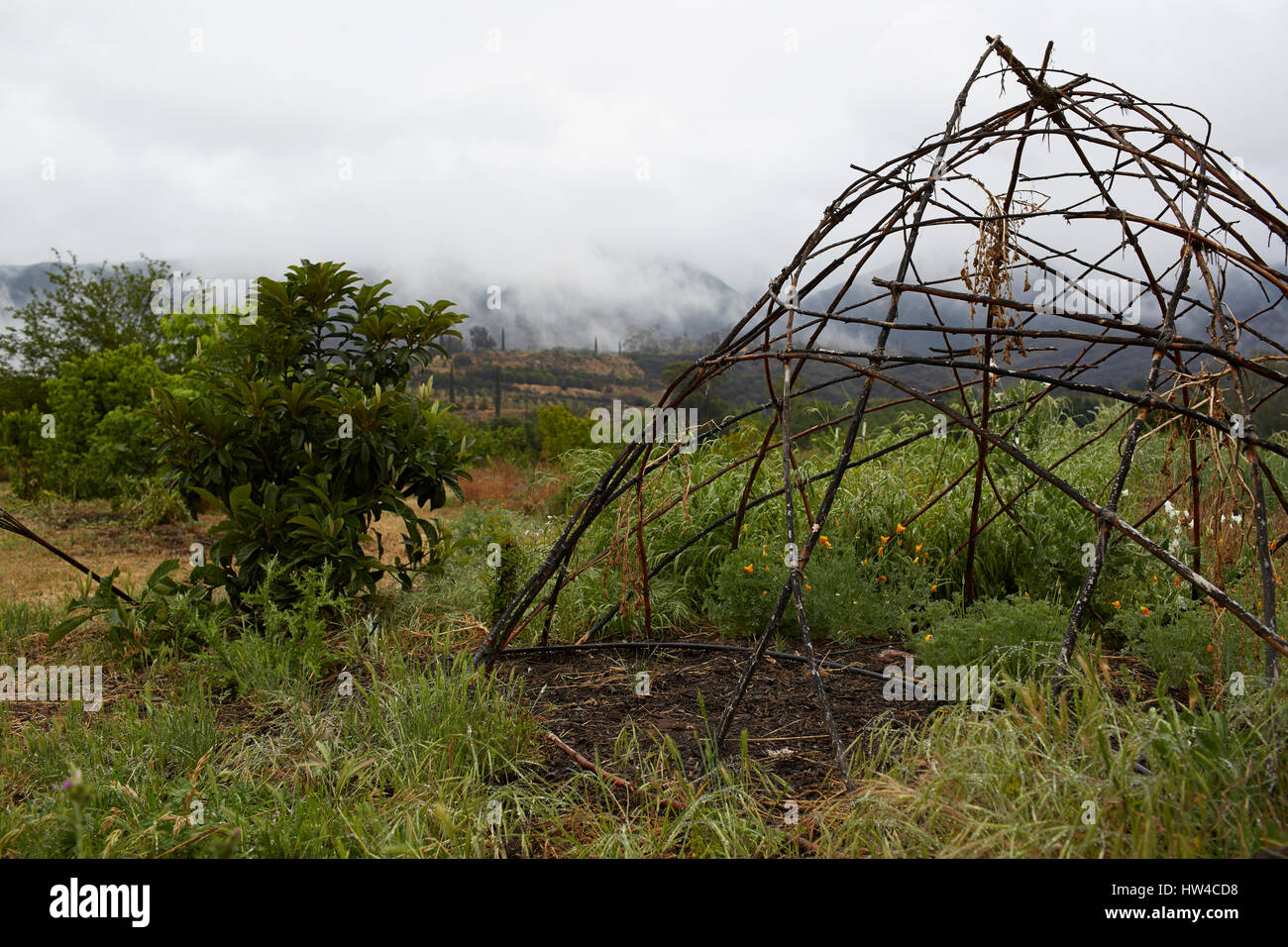 Teepee frame hi-res stock photography and images - Alamy