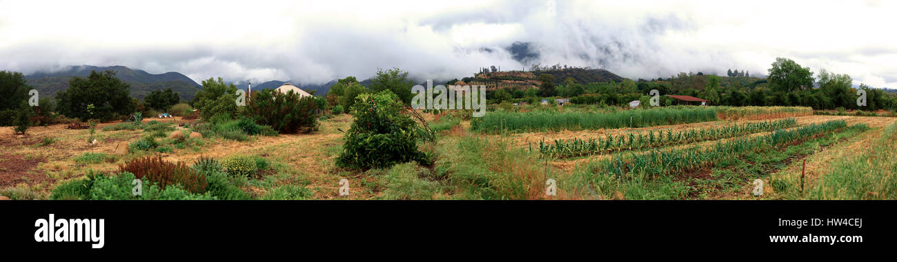 Panoramic view of farm fields in rural landscape Stock Photo - Alamy