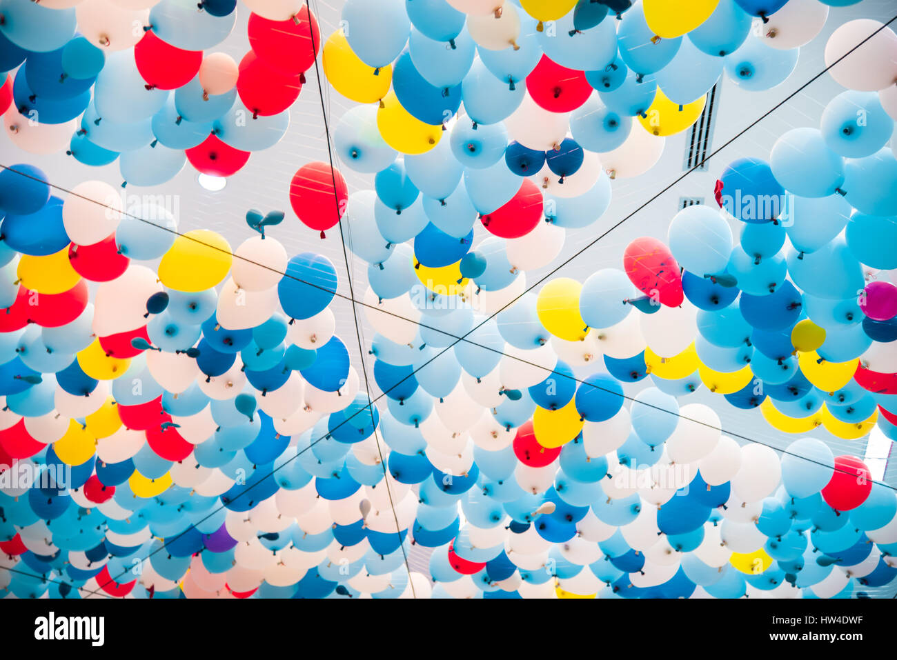 Colorful balloons with happy celebration Stock Photo - Alamy