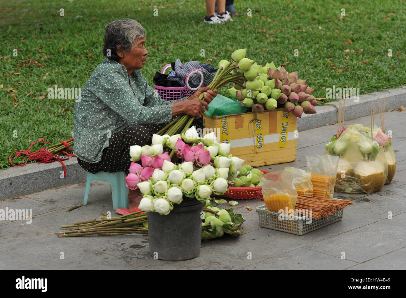 Lotus flower vendor on the riverside, Phnom Penh, Cambodia. credit ...