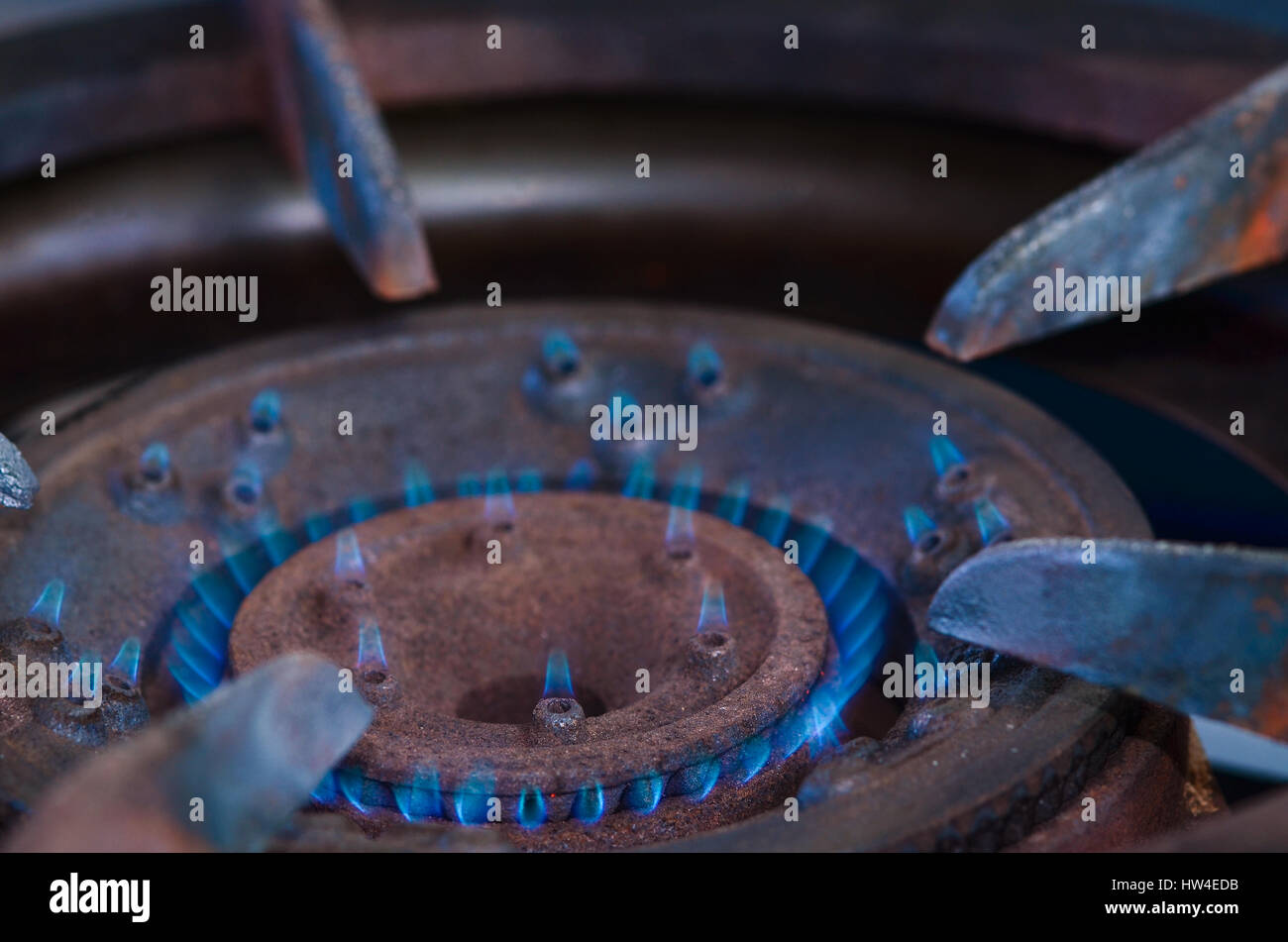 Blue flames on gas stove burner Stock Photo - Alamy