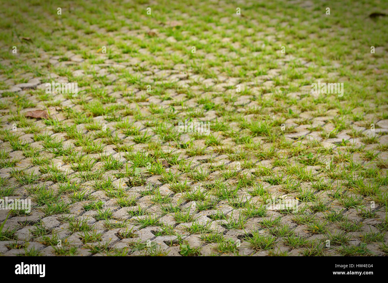 Permeable pavement hi-res stock photography and images - Alamy