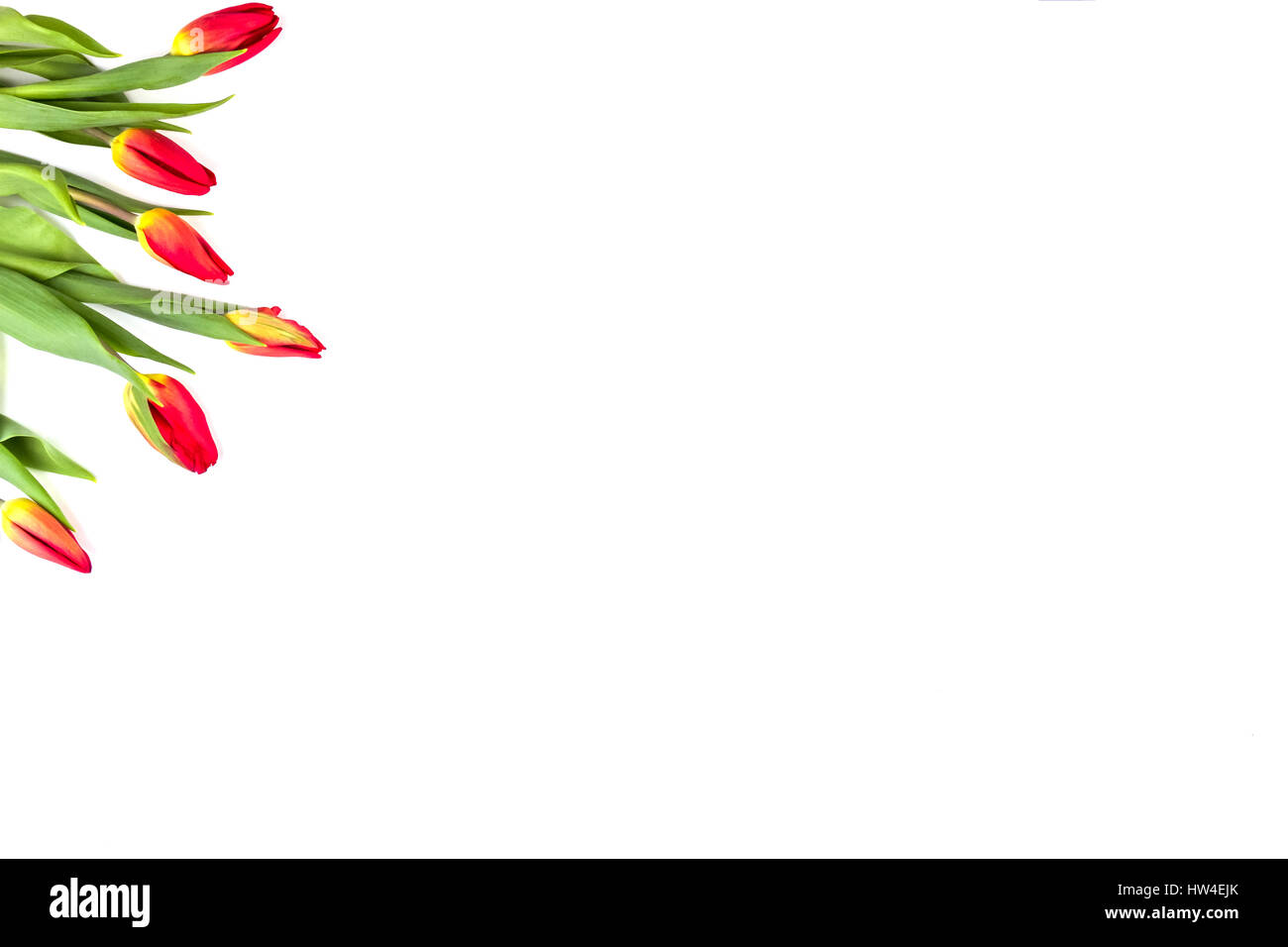 Corner border easter flower hi-res stock photography and images - Alamy