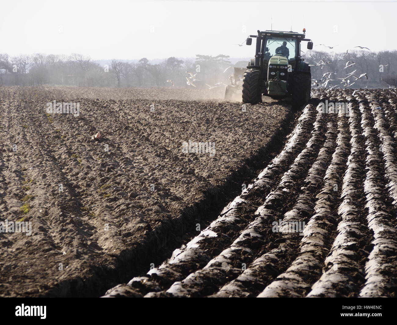 TRACTOR PLOUGHING FIELD HAPPISBURGH NORFOLK UK Stock Photo - Alamy