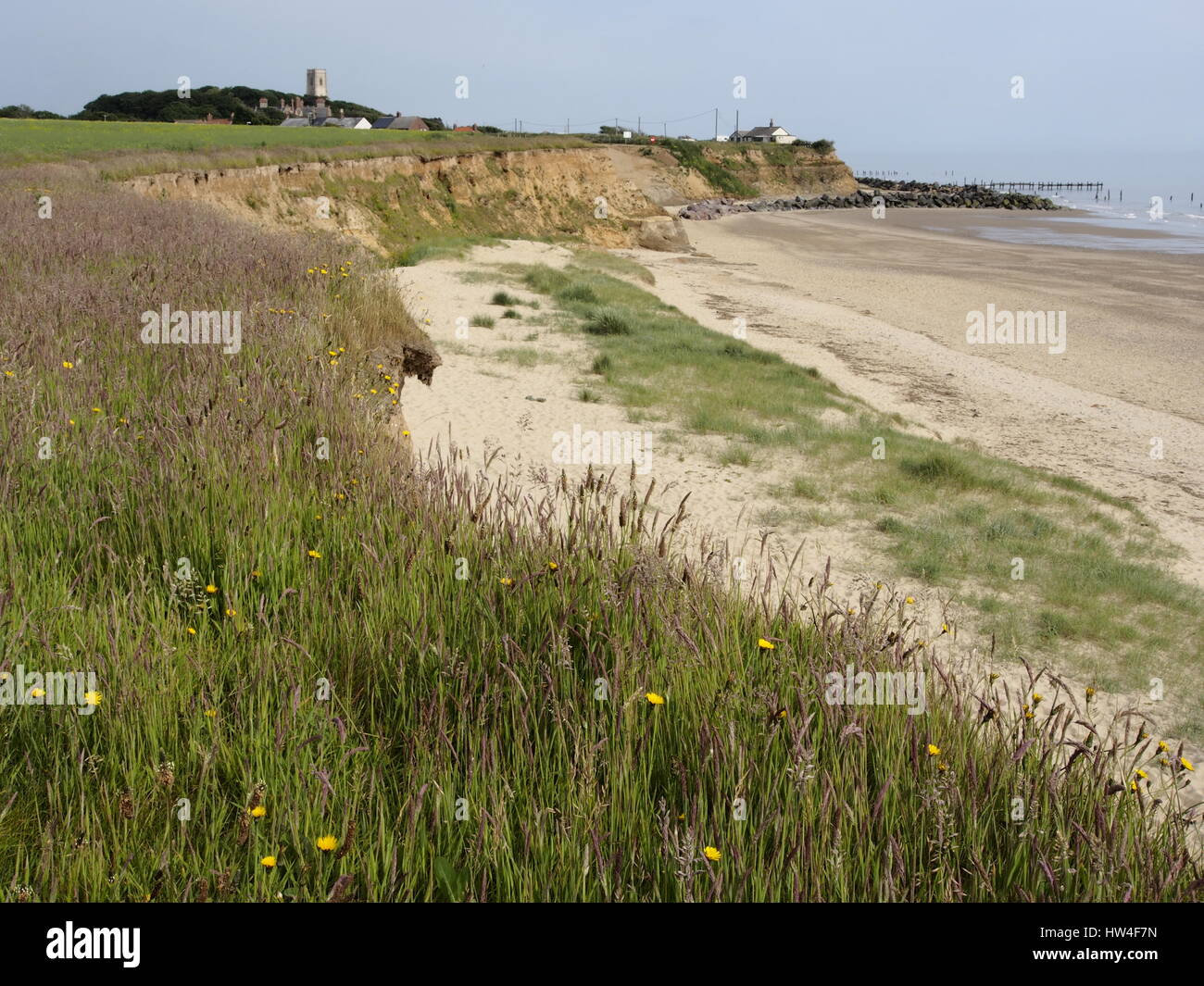 VIEW OF RETREATING COASTLINE CAUSED BY COASTAL EROSION, AT HAPPISBURGH ...