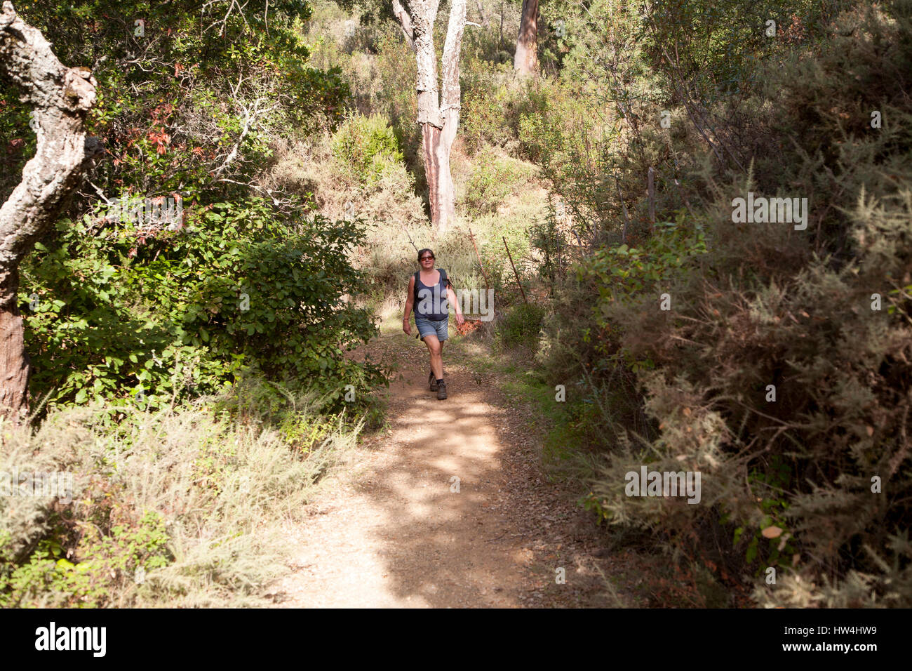 Woman walking through woodland trees Sierra Morena mountains, Sierra de ...